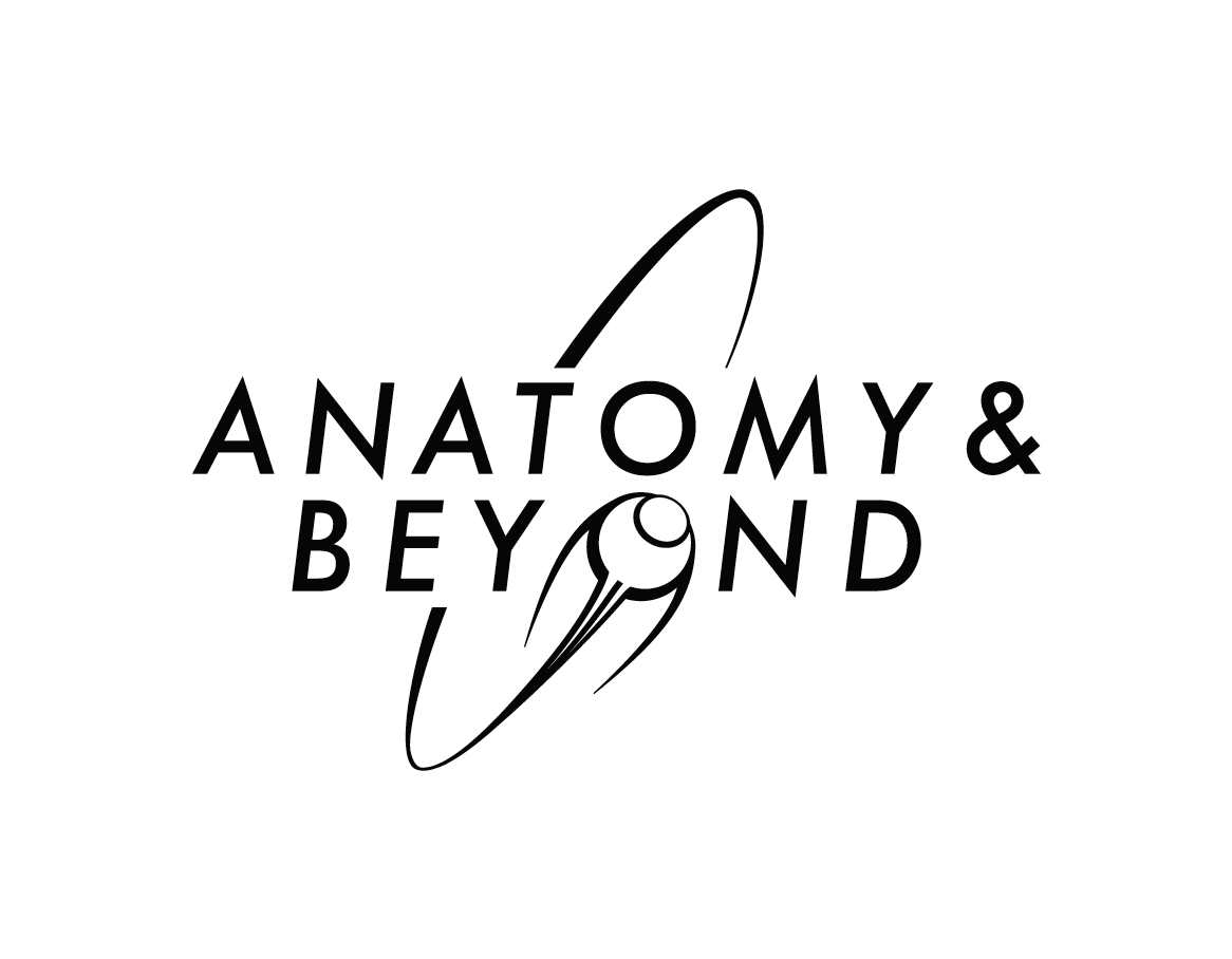 Anatomy & Beyond II - AEIMS Day, 3rd October 2024 - Medical Artists’ Association of Great Britain