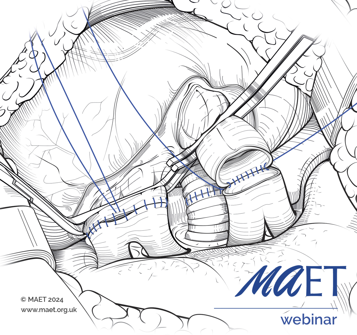 MAET Half-Day Webinar: Adobe Illustrator Tips and Tricks for Drawing ...